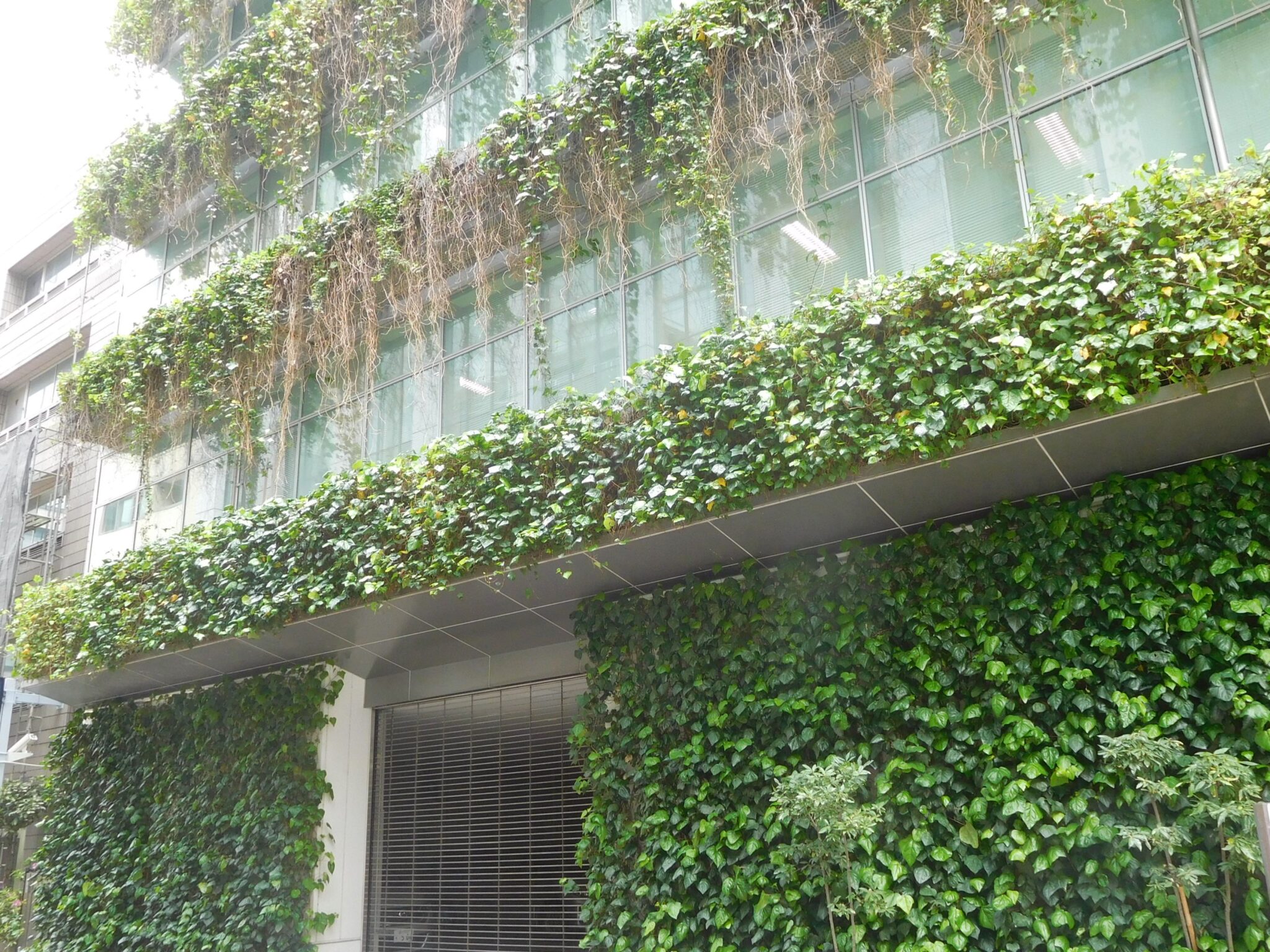 HOME - 株式会社Amelo（エーメロ）の公式ホームページ